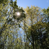 Sean Mowbray – Freelance journalist