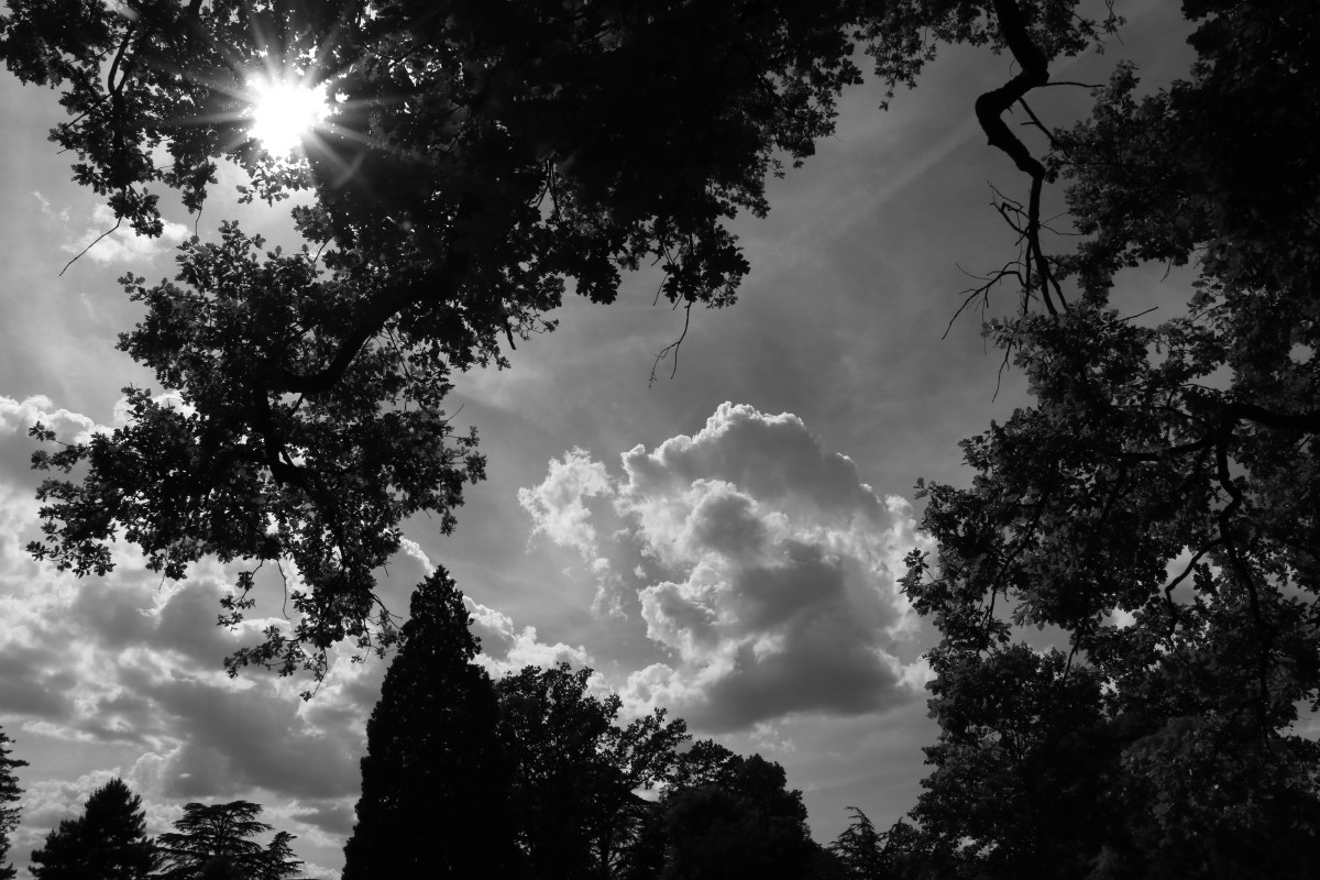 Bio – Sean Mowbray