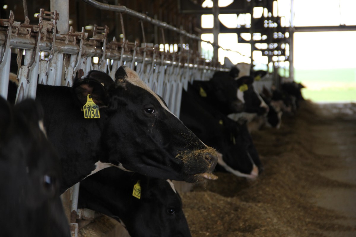 Atmospheric methane removal: A promising but challenging climate ...